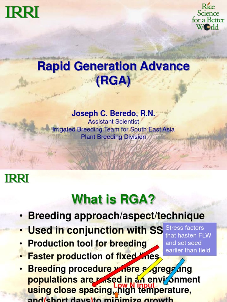 Rapid Generation Advance (RGA) | PDF | Plant Breeding | Seed