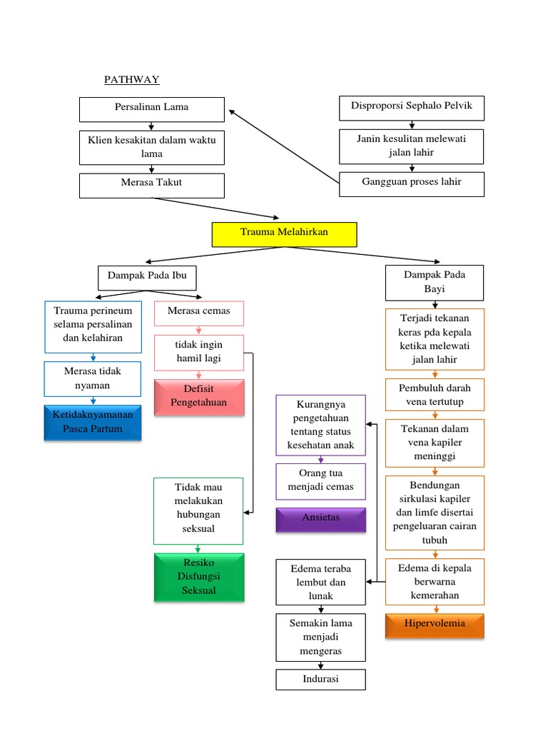 PATHWAY Trauma Melahirkan | PDF
