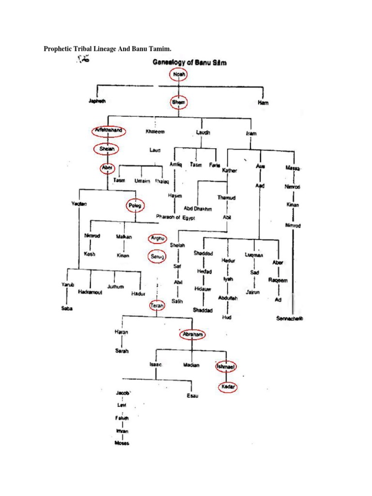 Prophetic Tribal Lineage and Banu Tamim | PDF | Banu Hashim | Middle ...