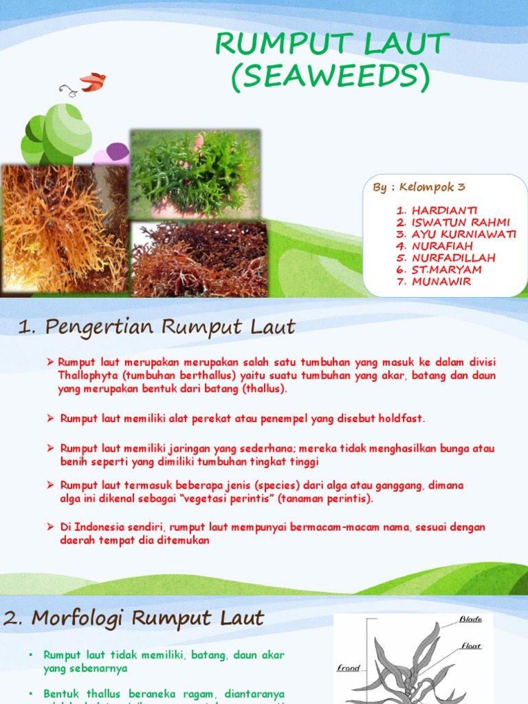 Rumput Laut | PDF