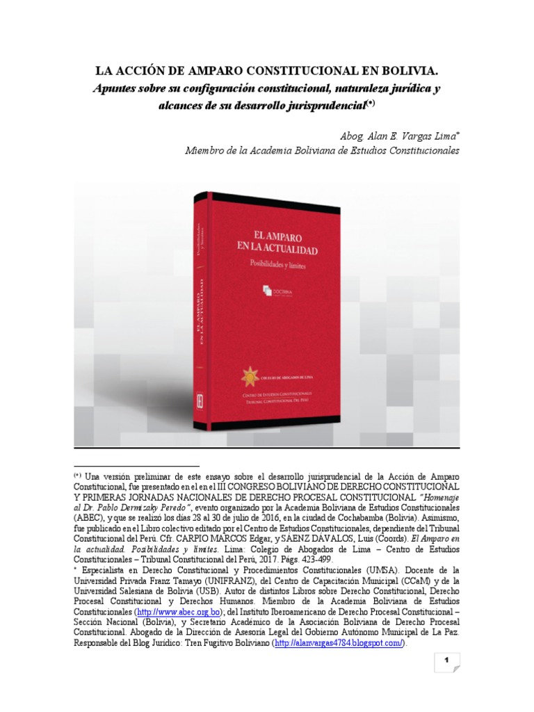 LA_ACCION_DE_AMPARO_CONSTITUCIONAL_EN_BO.pdf