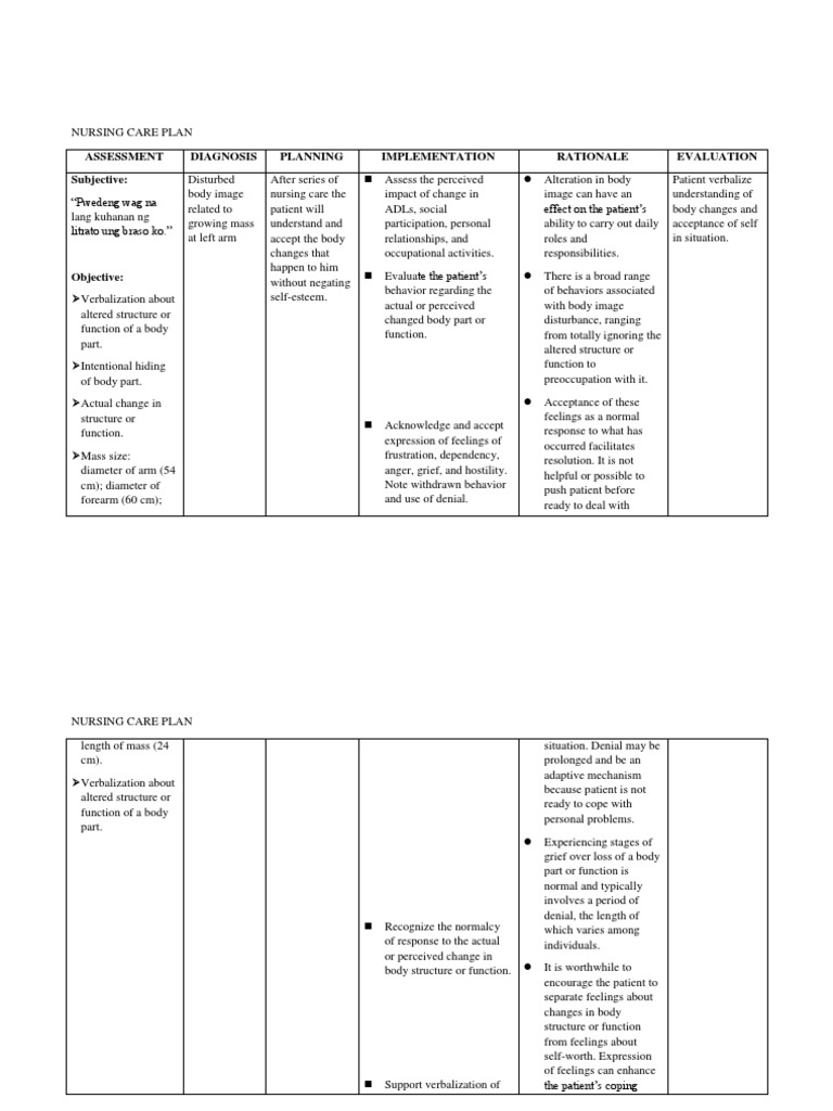 NCP Disturbed Body Image | PDF | Coping (Psychology) | Grief