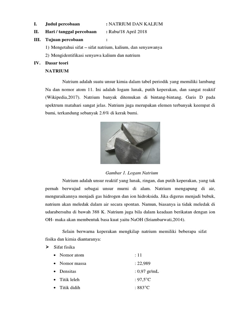 Sifat dan Aplikasi Logam Alkali Natrium dan Kalium | PDF