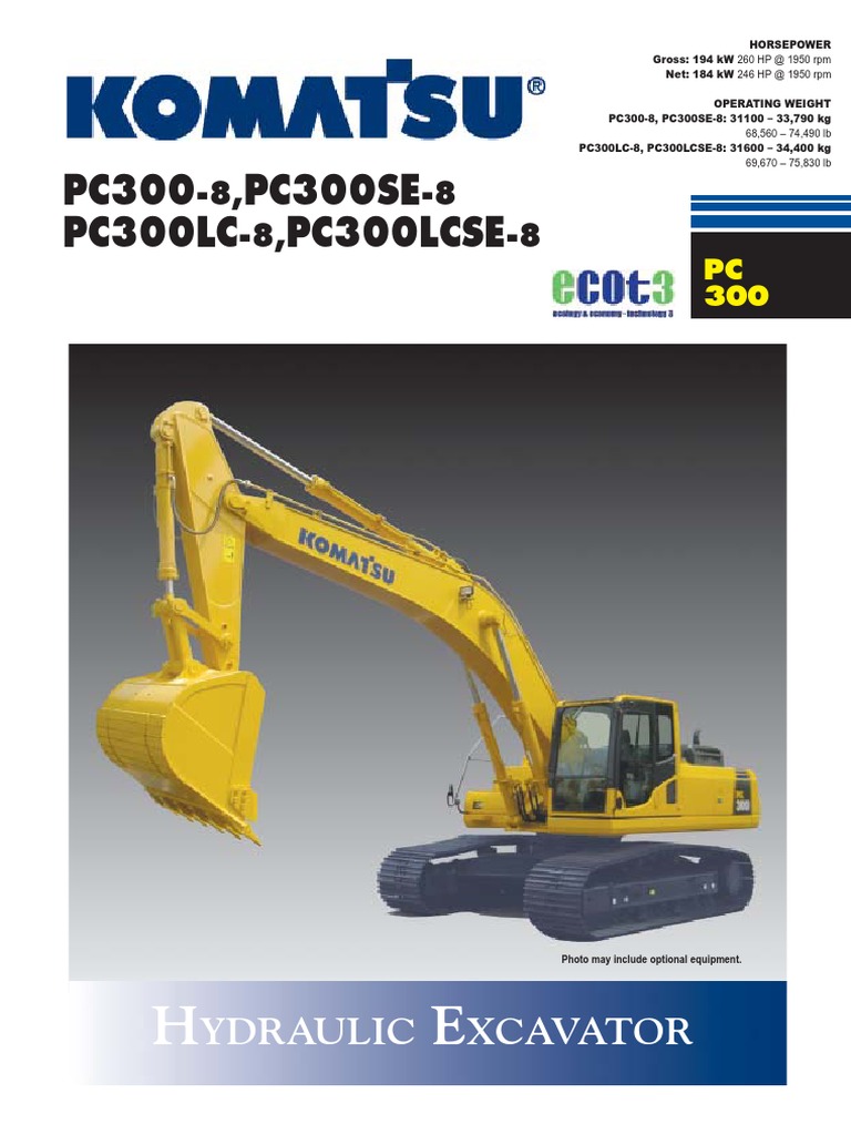 PC 300 PDF | PDF