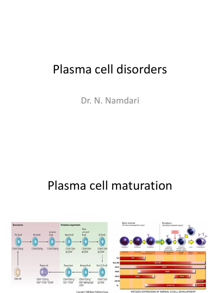 Understanding Plasma Cell Disorders | PDF | Multiple Myeloma | Medical ...
