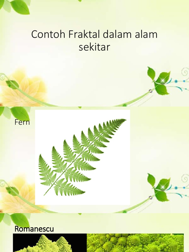 Contoh Fraktal dalam Alam | PDF