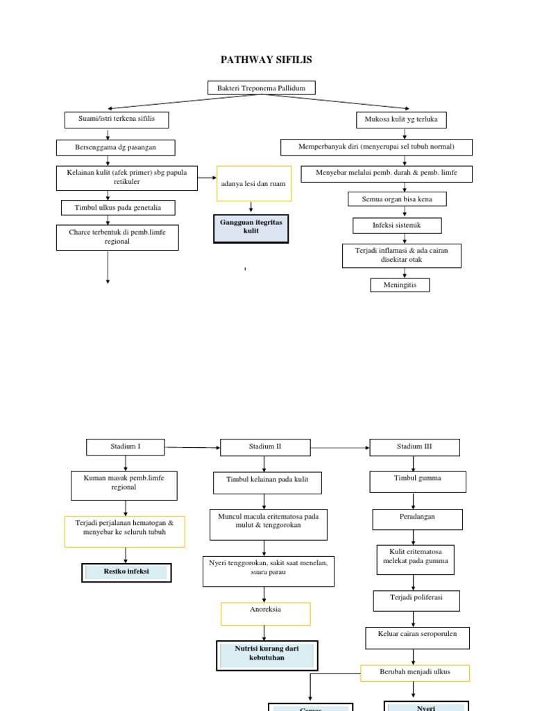 Pathway Sifilis