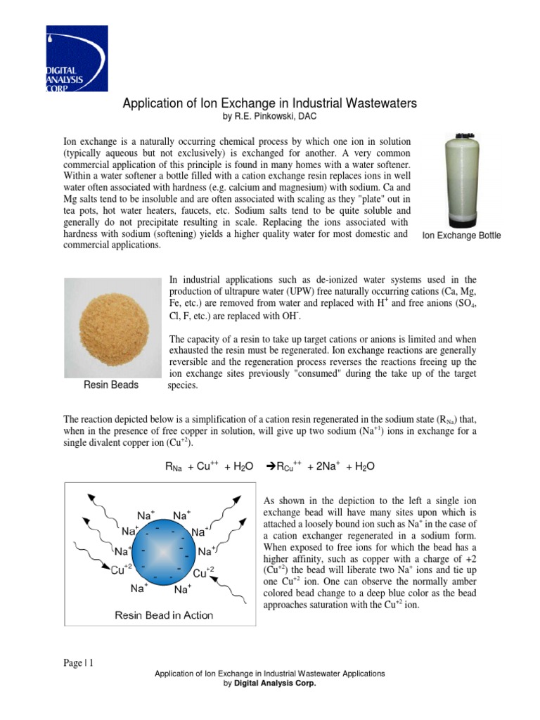 Principles of Ion Exchange | PDF | Ion Exchange | Sodium