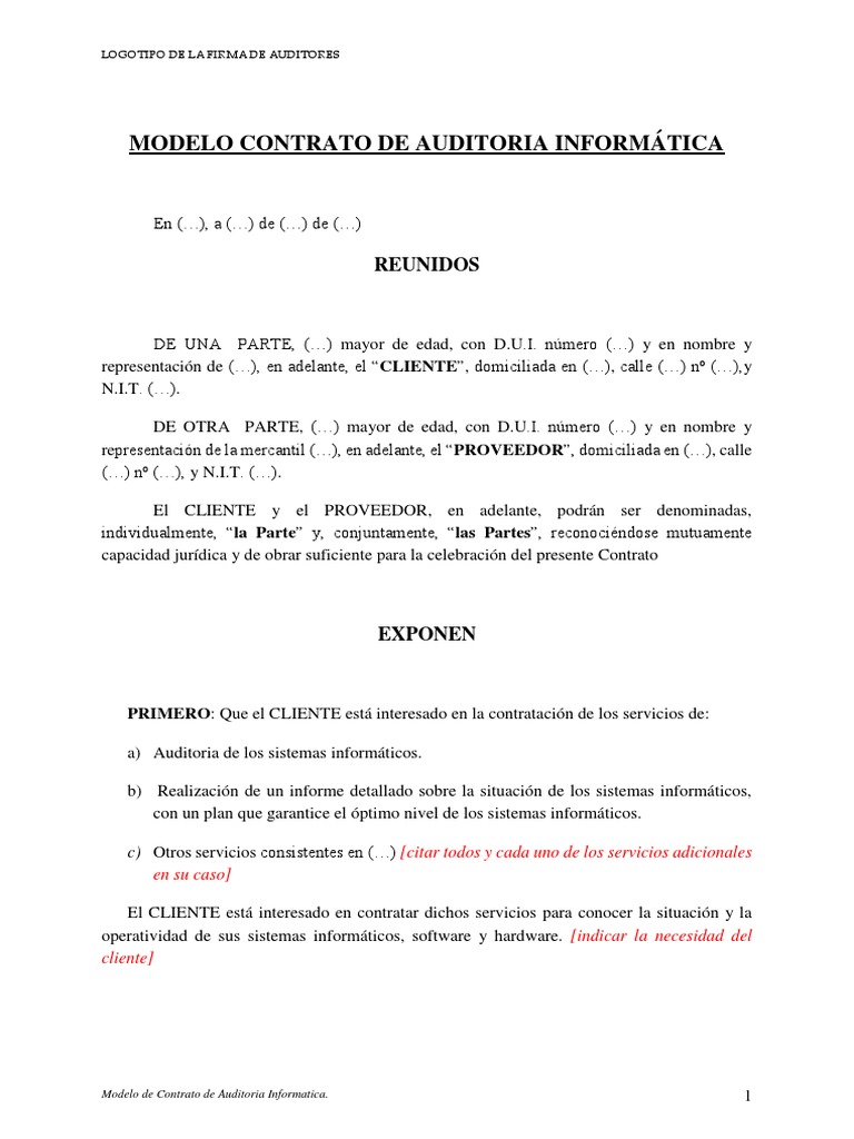 Modelo Contrato Informatico | PDF | Software | Calidad (comercial)
