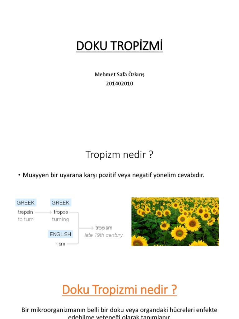 Doku Tropizmi | PDF