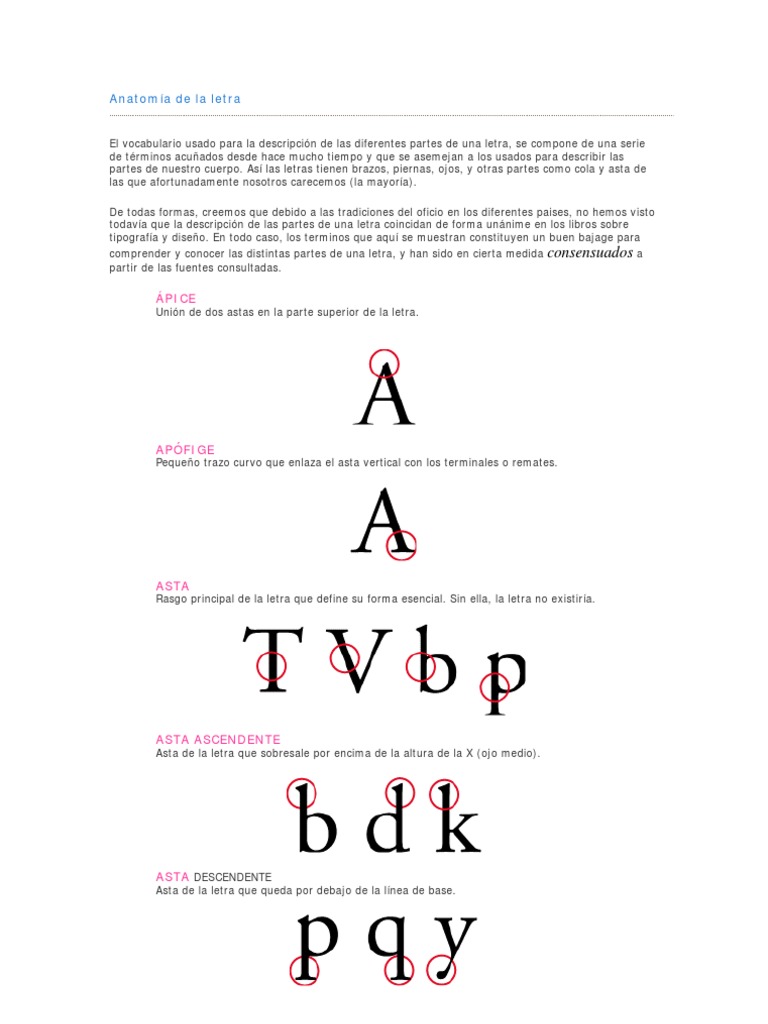 Anatomía de las letras y sus partes | PDF | Naturaleza