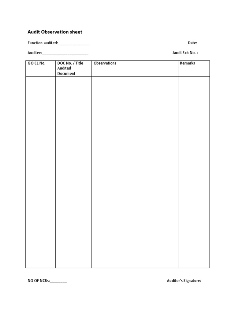 Audit Observation Sheet | PDF | Audit | Economic Sectors