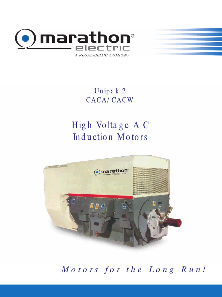 High Voltage A C Induction Motors: Unipak 2 Caca/Cacw | PDF | Electric ...