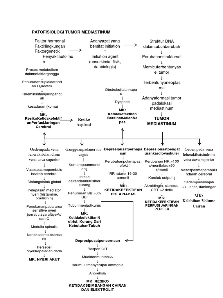 Pathway Tumor 2 | PDF