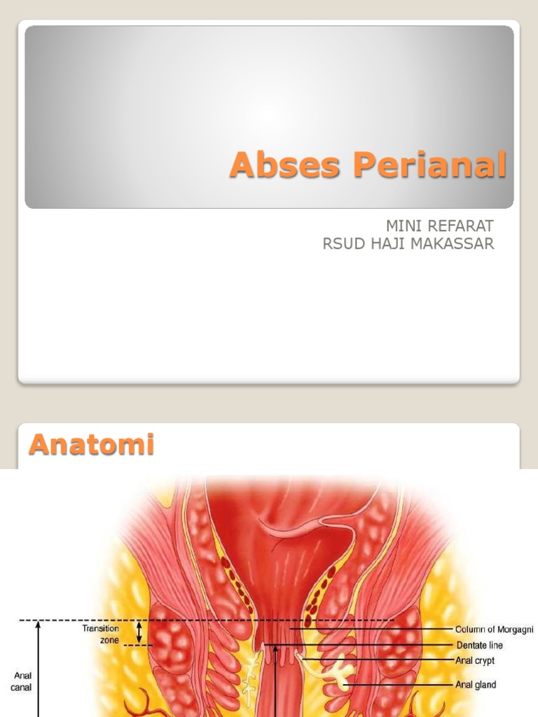 Abses Perianal | PDF | Kesehatan Holistik