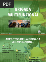 Brigada Multifuncional | PDF | Defensa Civil