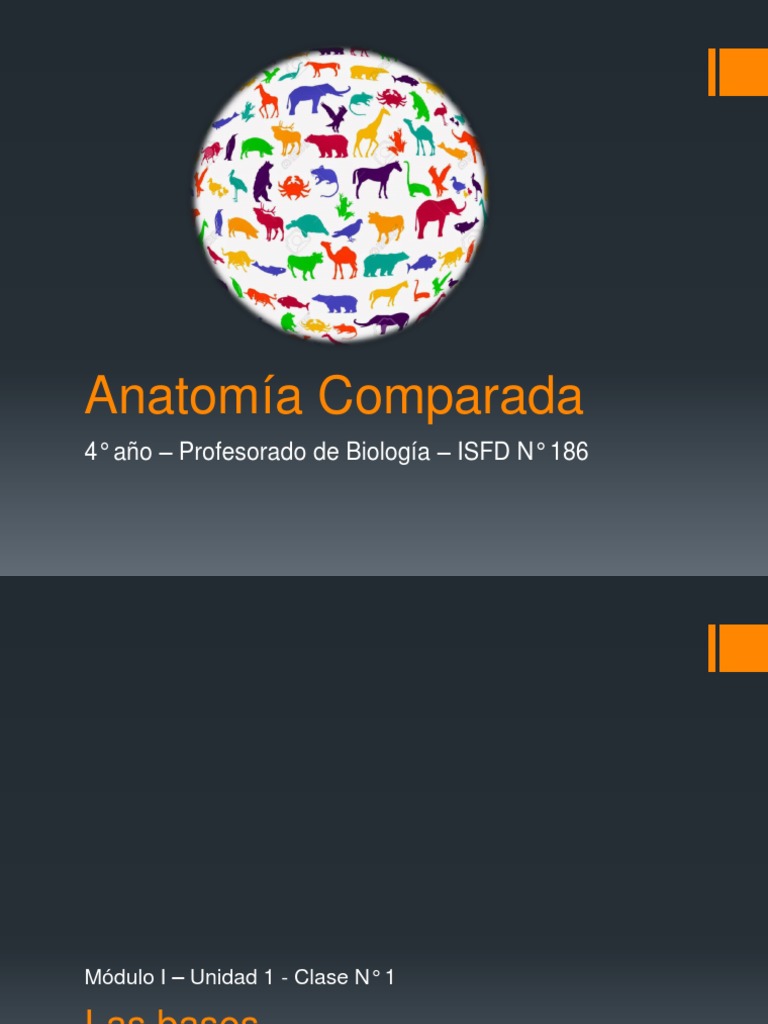 Anatomía Comparada para Biólogos | PDF | Homología (biología) | Vertebrados