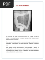 Transito Intestinal Estudios Especiales RADIOLOGIA | PDF | Intestino ...