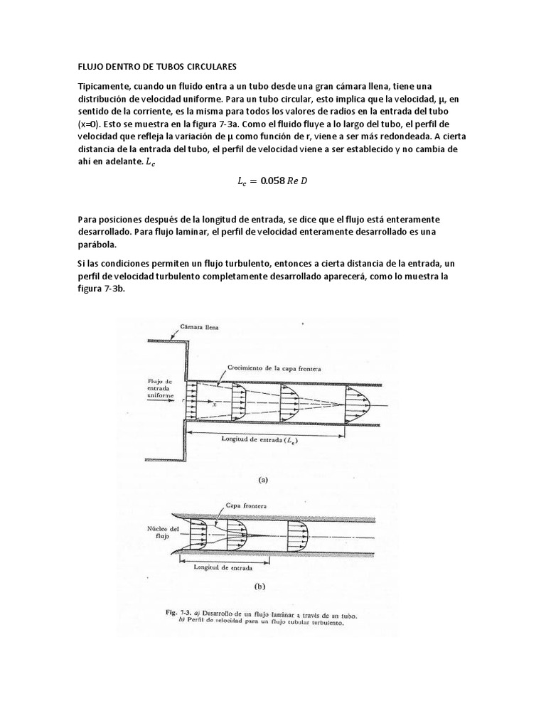 Flujo Sobre Una Placa Plana | PDF | Flujo laminar | Numero Reynolds