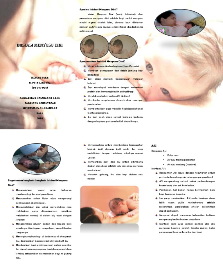 Leaflet Inisiasi Menyusu Dini | PDF