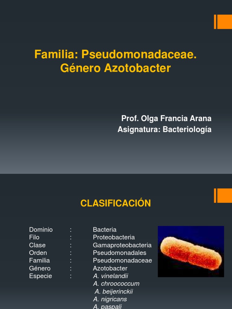 AZOTOBACTER | Bacterias | Nitrógeno