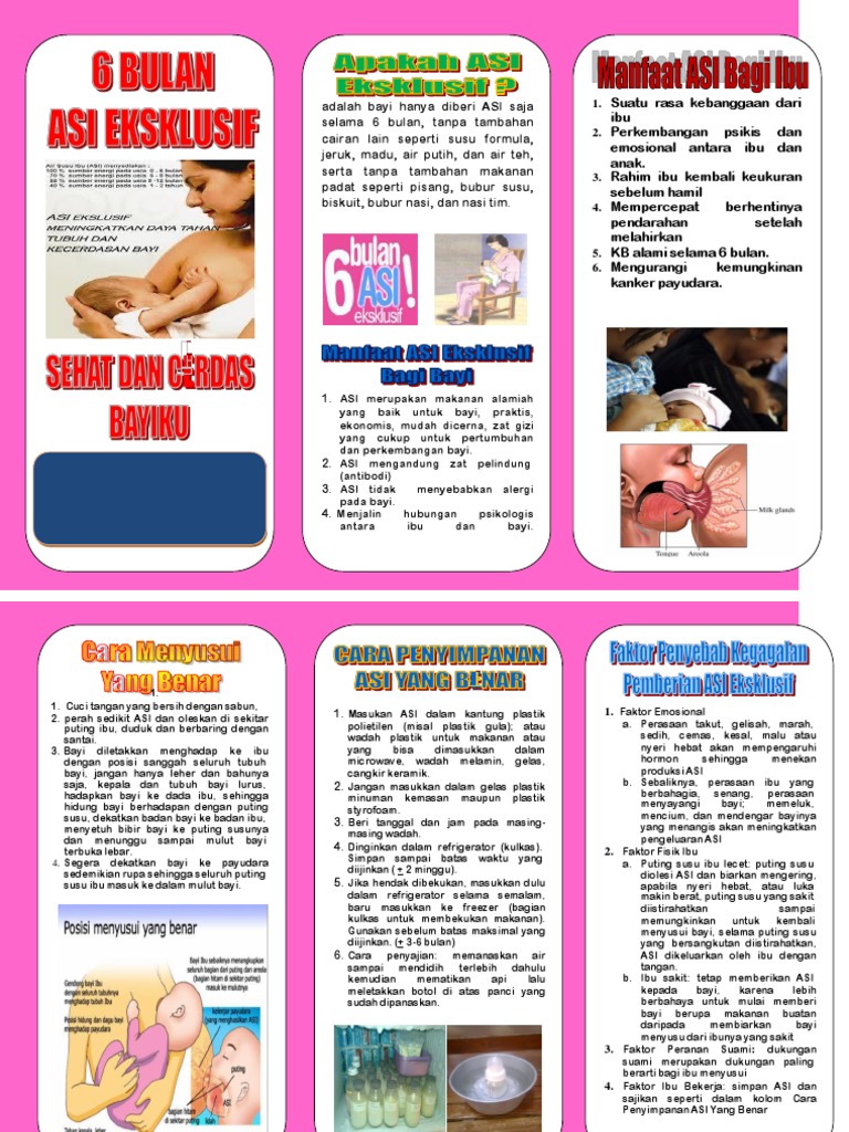 Leaflet Asi Eksklusif | PDF