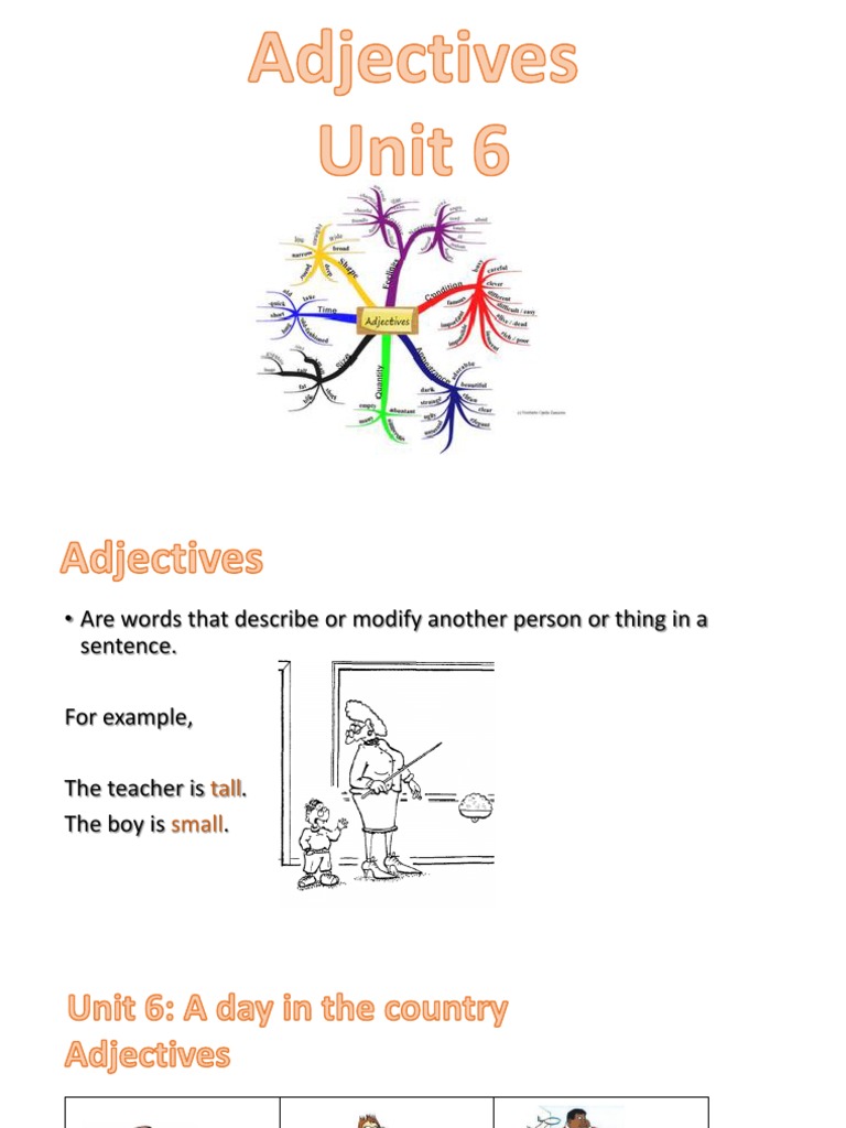 Unit 6 A Day in The Country, Adjectives | PDF