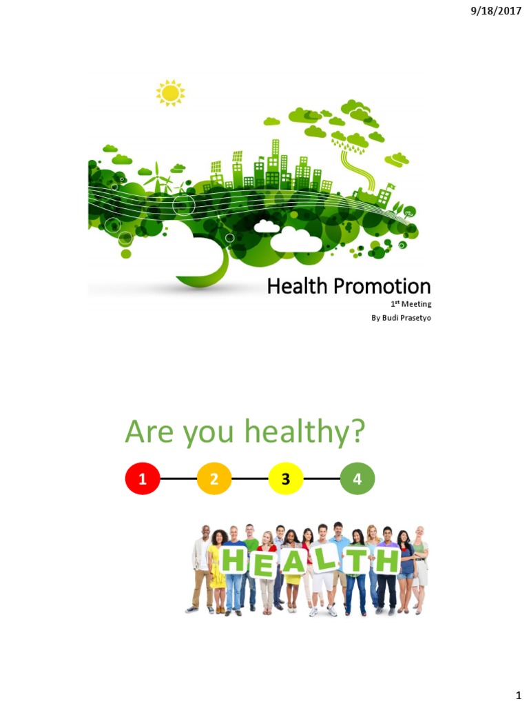 An Analysis of Meeting Notes and Presentation Slides from a Health ...