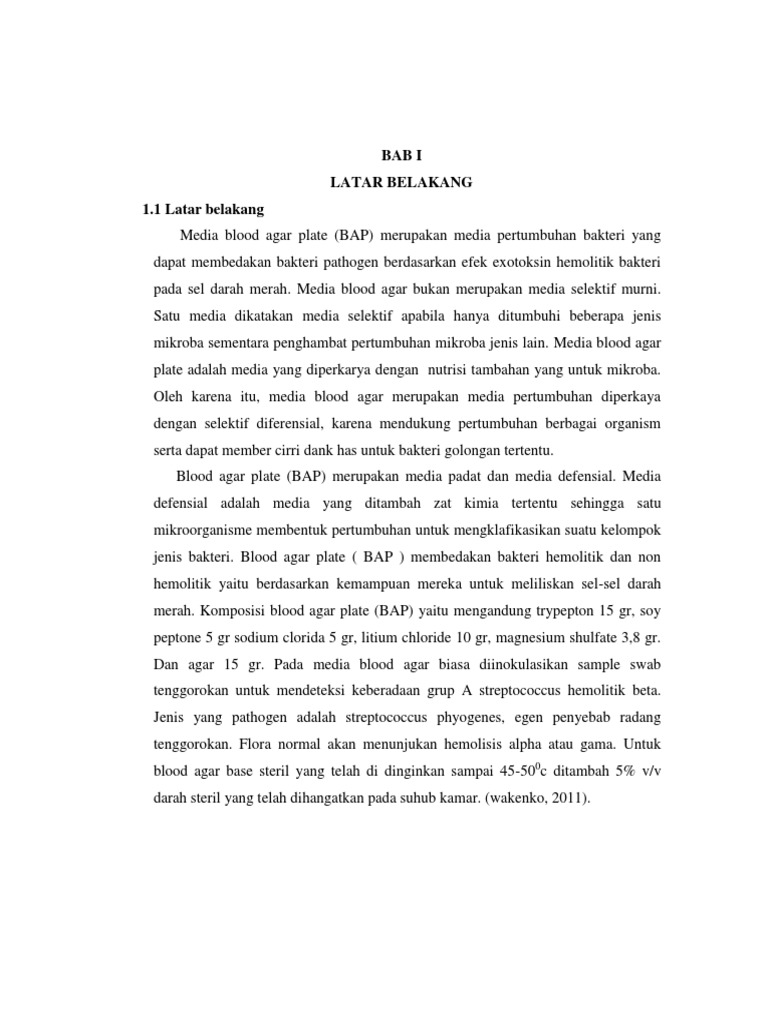 Faujia Latif Media BAP | PDF