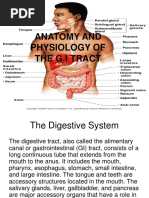 Anatomy and Physiology of Acute Gastroenteritis | PDF | Stomach ...