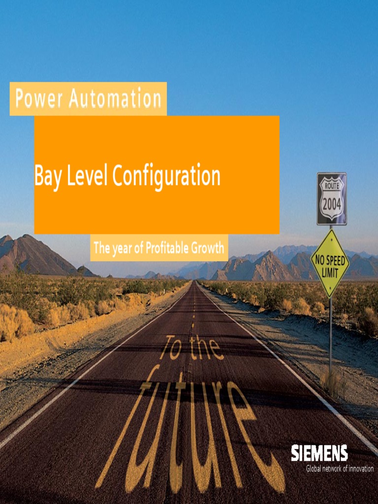 Bay Level Configuration: The Year of Profitable Growth | PDF ...