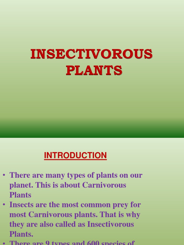 Insectivorous Plants | PDF | Plants | Organisms