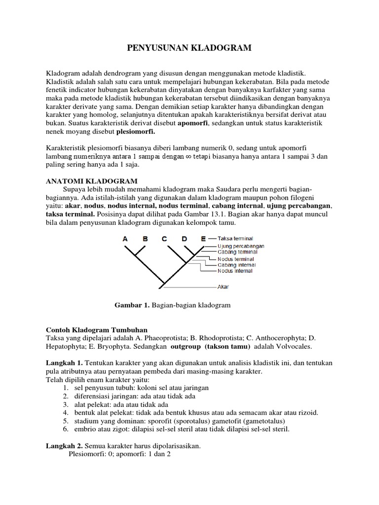 Penyusunan Kladogram Rev | PDF