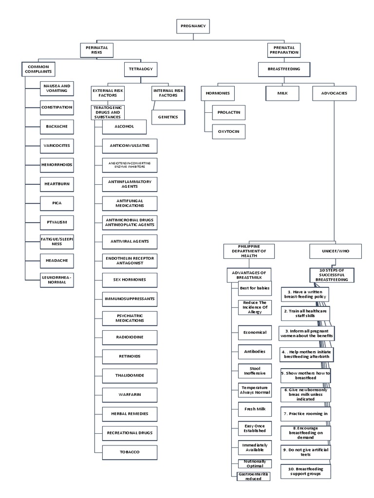 Concept Map Repro | PDF | Breastfeeding | Breast Milk