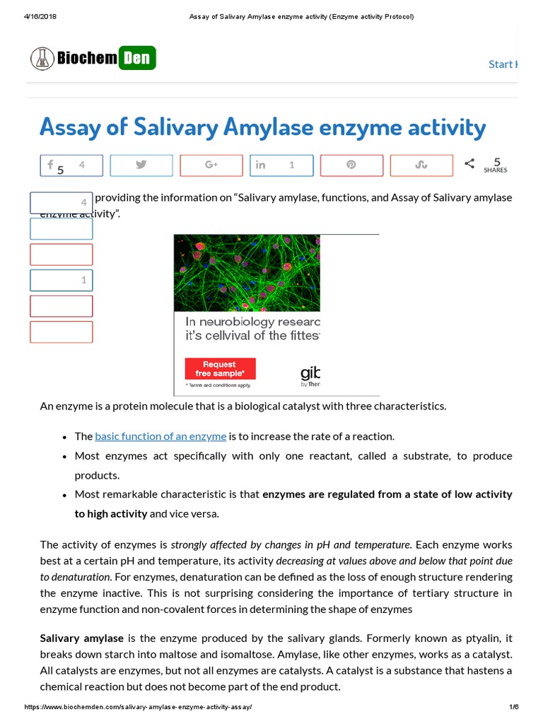Assay of Salivary Amylase Enzyme Activity (Enzyme Activity Protocol ...