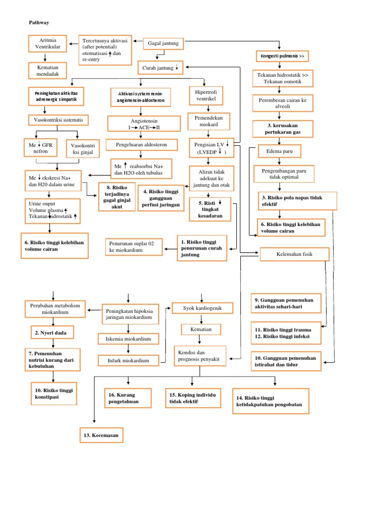 Pathway Gagal Jantung dan Aritmia | PDF