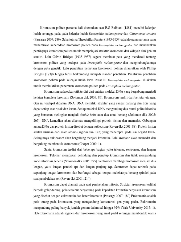 Kromosom Politen pada Larva Instar III Drosophila melanogaster | PDF