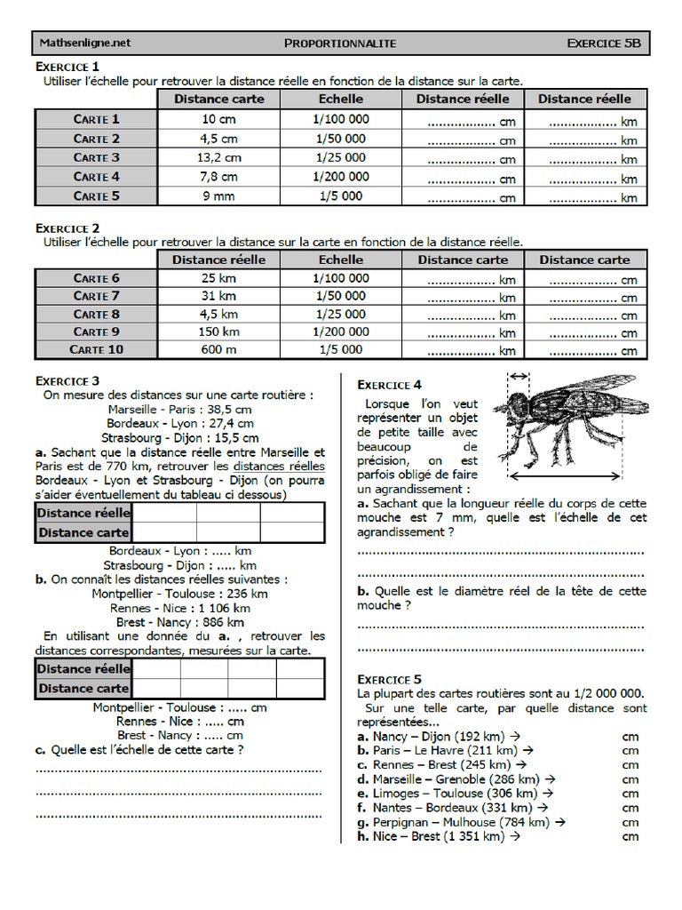 Chap 11 - Ex 5b - Utilisation D'échelles - CORRIGE | PDF | Informations ...
