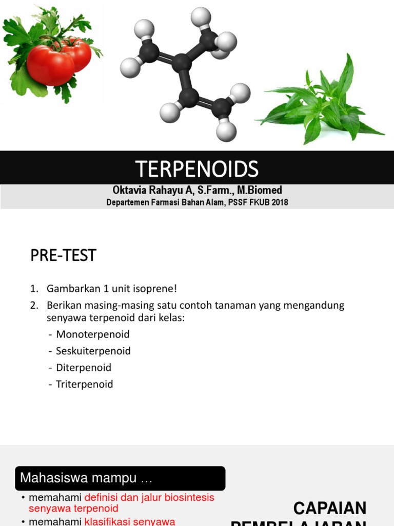 8 - Terpenoid | PDF | Carotenoid | Steroid