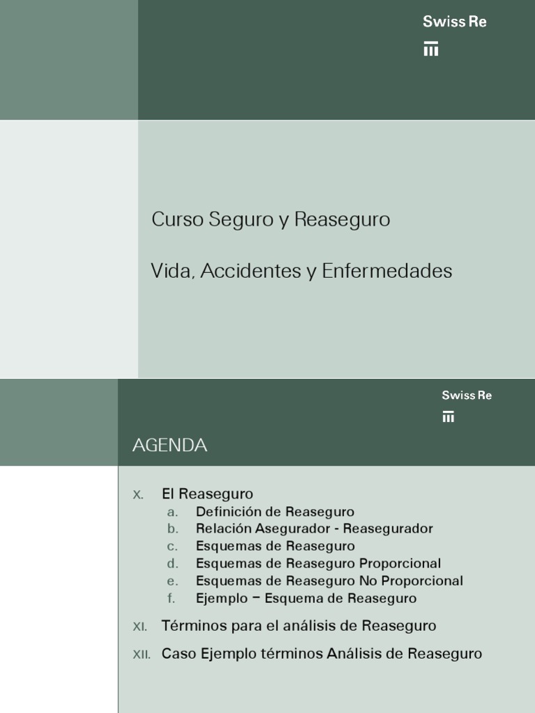Esquemas de Reaseguro: Guía Completa | PDF | Reaseguro | Riesgo financiero