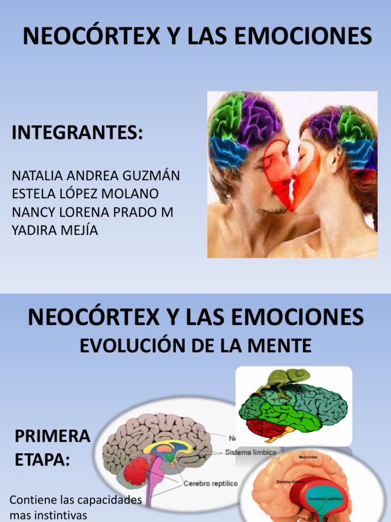 Neocortex Exposicion | PDF | Neocortex | Cerebro