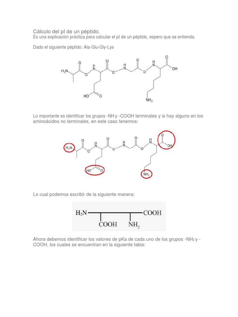Cálculo Del PI de Un Péptido | PDF | Péptido | Ph