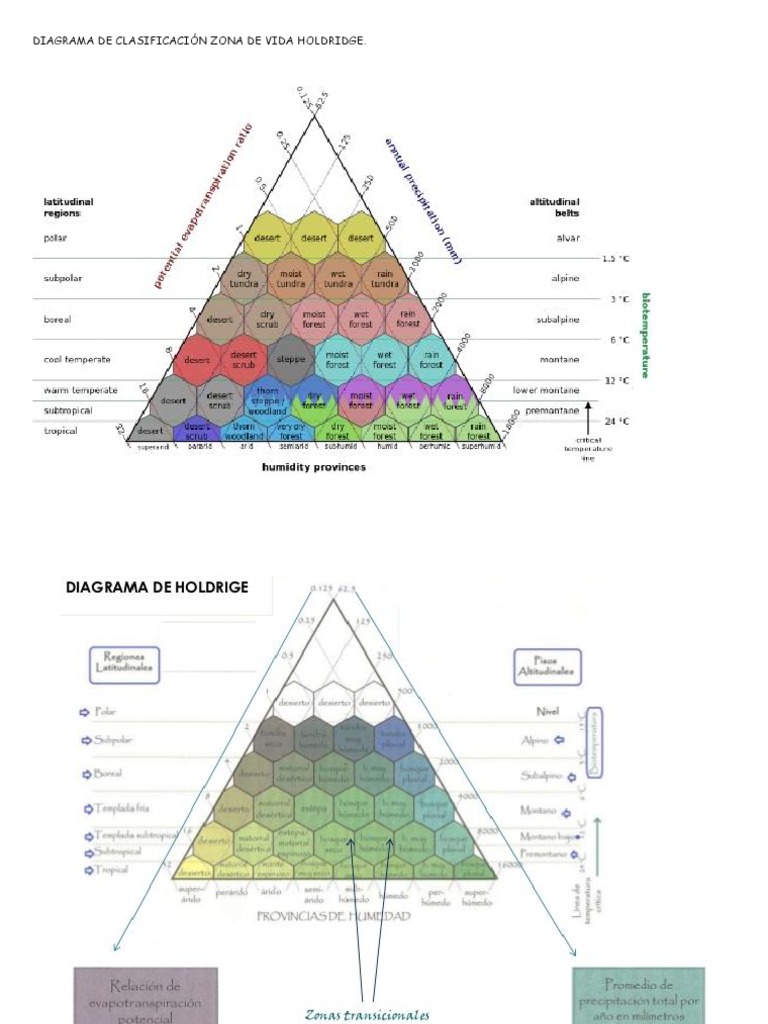 Diagrama de Clasificación Zona de Vida Holdridge | PDF