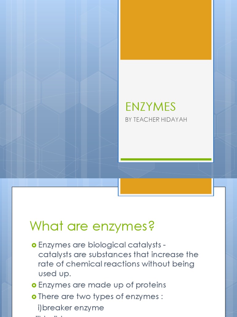 Chapter 3 - Enzymes | PDF | Enzyme | Denaturation (Biochemistry)