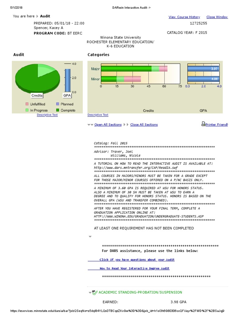 Darwin Interactive Audit | PDF