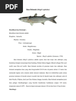 Morfologi Dan Anatomi Kepiting | PDF