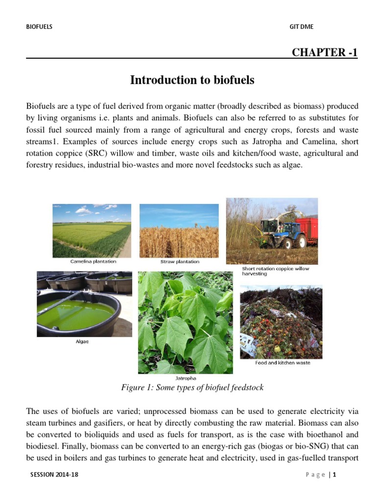 Introduction To Biofuels: Chapter - 1 | PDF | Biofuel | Biomass