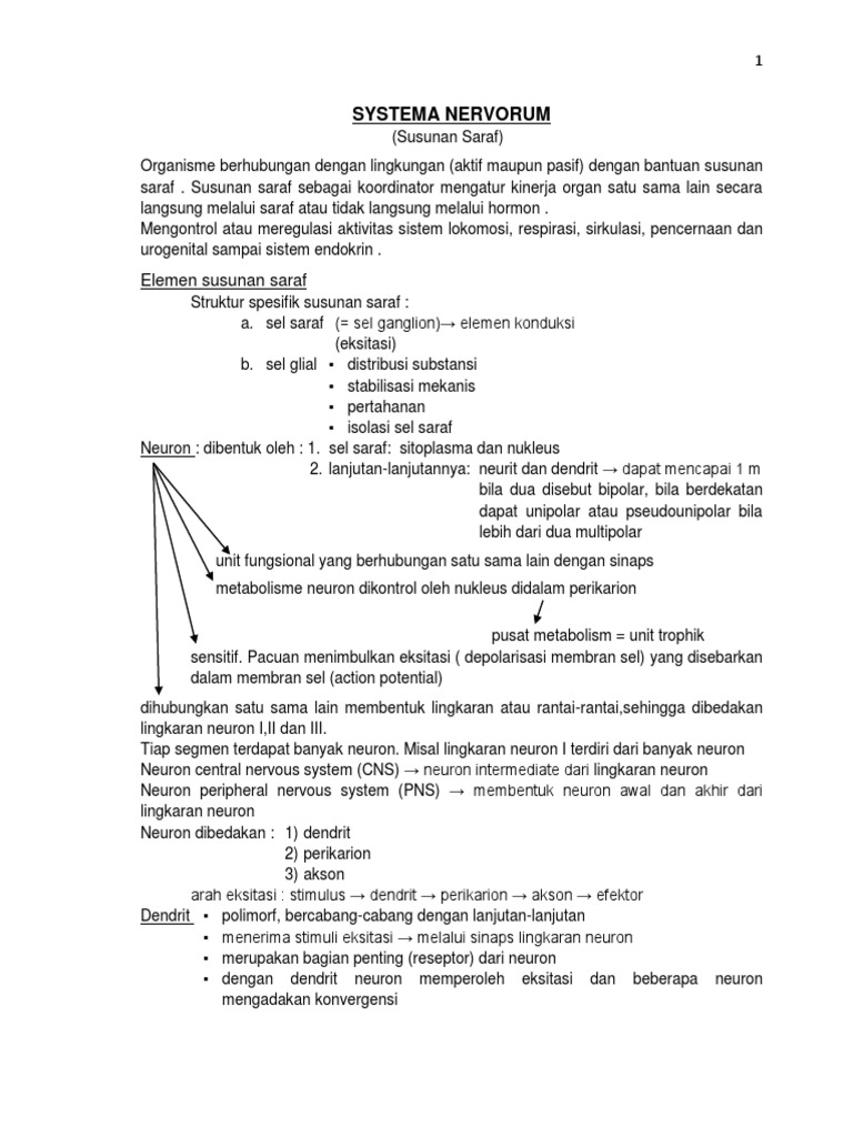 Systema Nervorum | PDF | Sains & Matematika