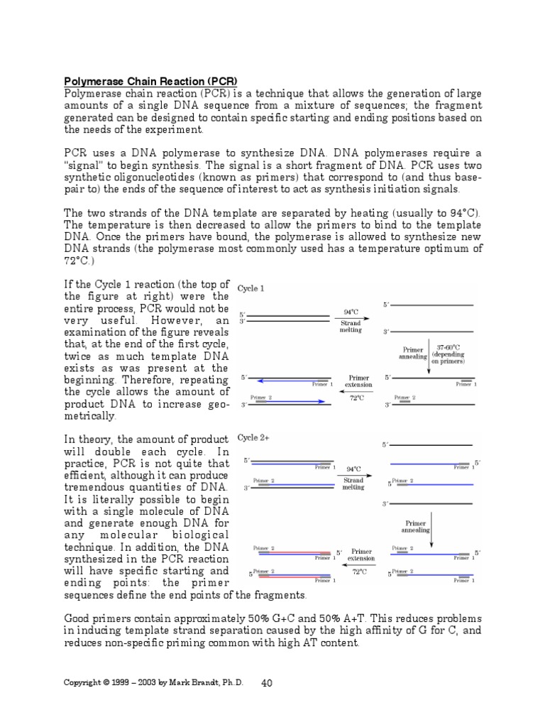 Polymerase Chain Reaction (PCR) | PDF | Polymerase Chain Reaction ...