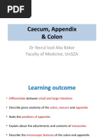 Anatomy of Appendix and Colon Explained | PDF | Large Intestine | Anatomy